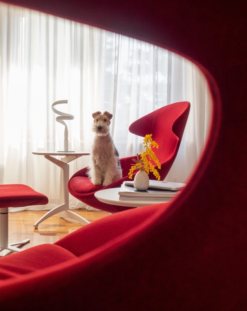 Loft - Sphere Living